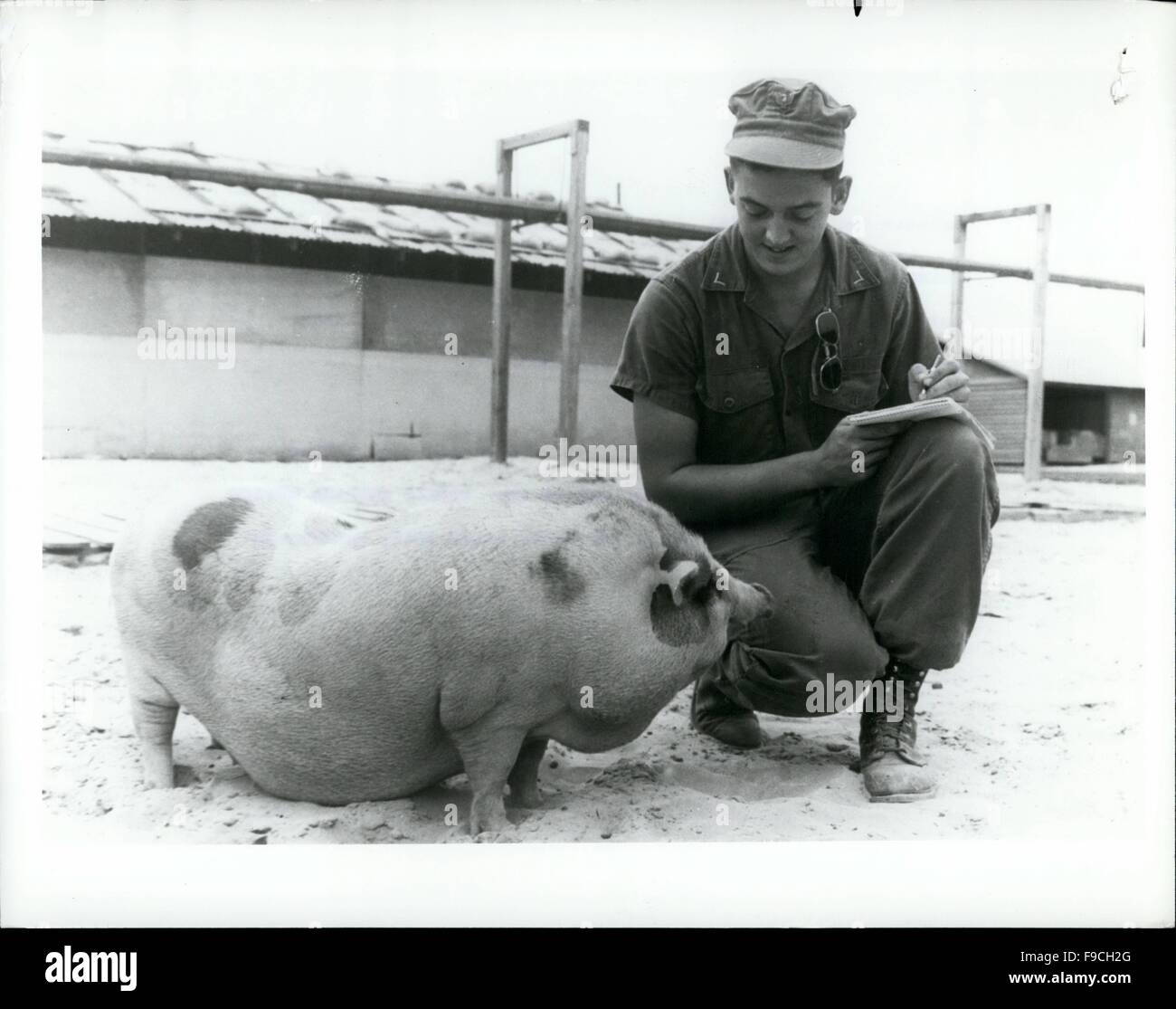 1954 - Paunchy pet: ''I started out at a very tender age.'' Esmeralda ...
