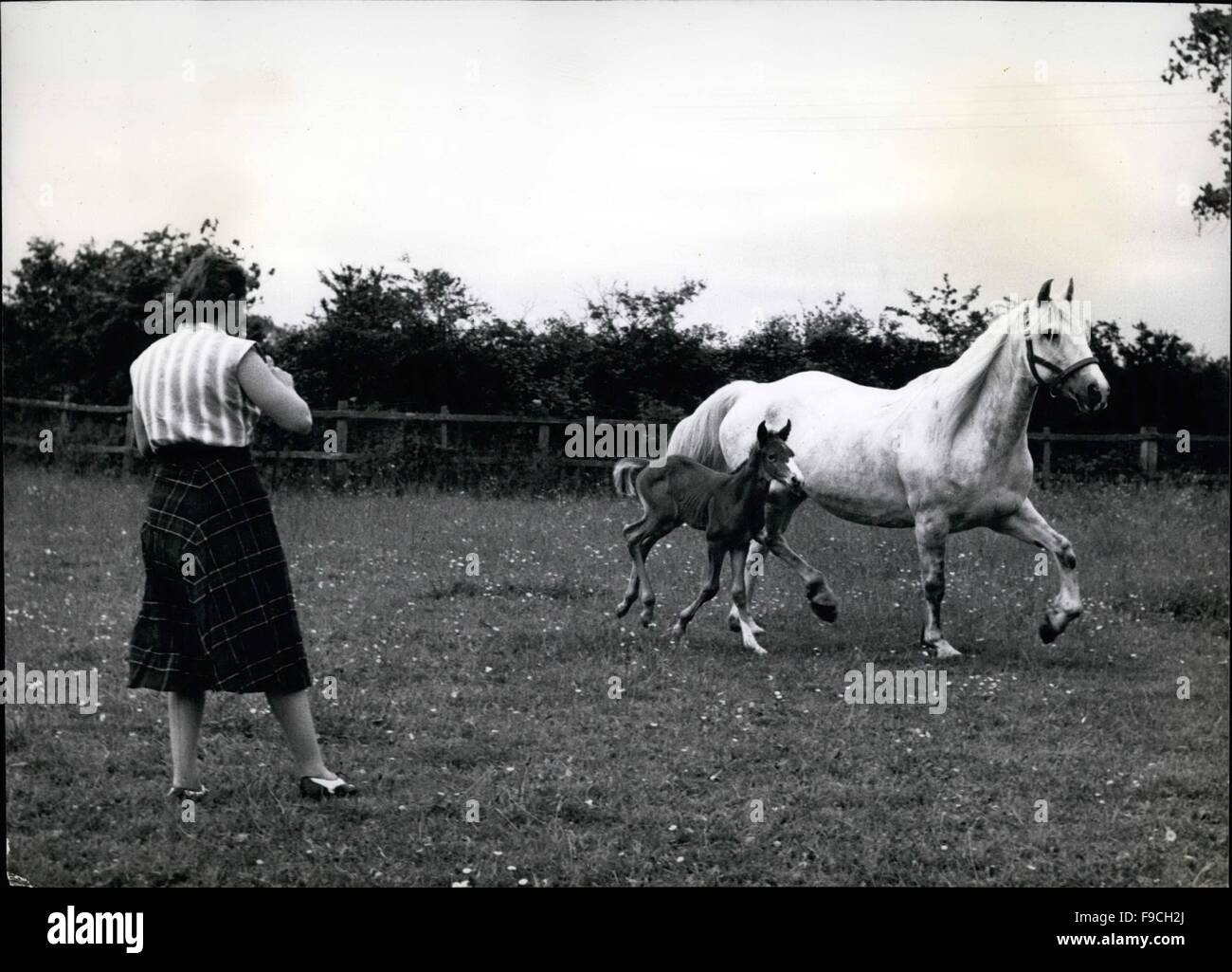 Pat smythe hi-res stock photography and images - Alamy