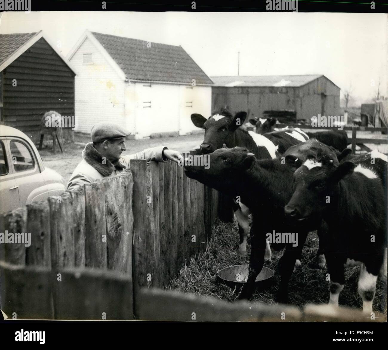 1964 - The Queen Jockey Harry Carr Prepares for opening of the flat ...