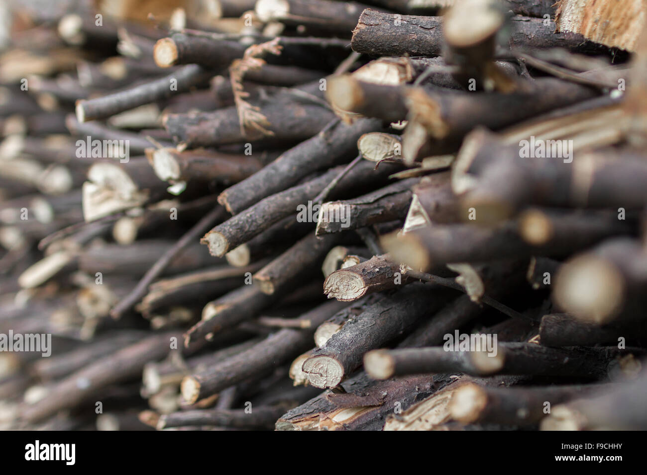 Stack of firewood composed of pieces of small dimensions Stock Photo ...