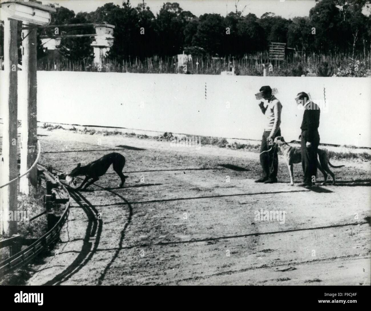 1964 - Run Rabbit Run: But this rabbit is tied by wire to the ...