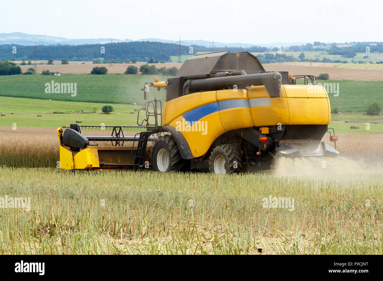 yellow combine in summer harvesting rape on farmlad, rural scene Stock ...