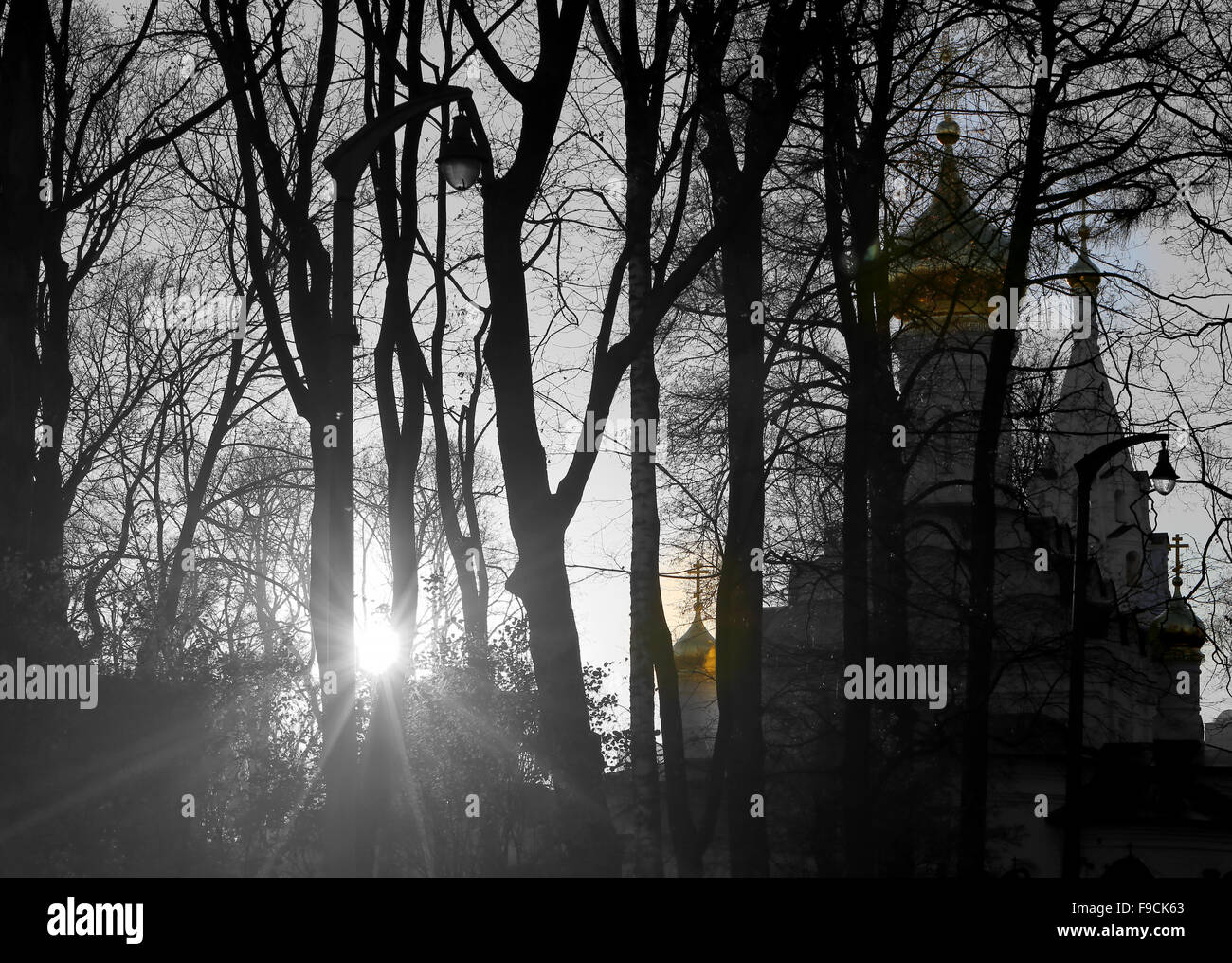 Orthodox churches in sunset Donskoy monastery in Moscow Stock Photo - Alamy