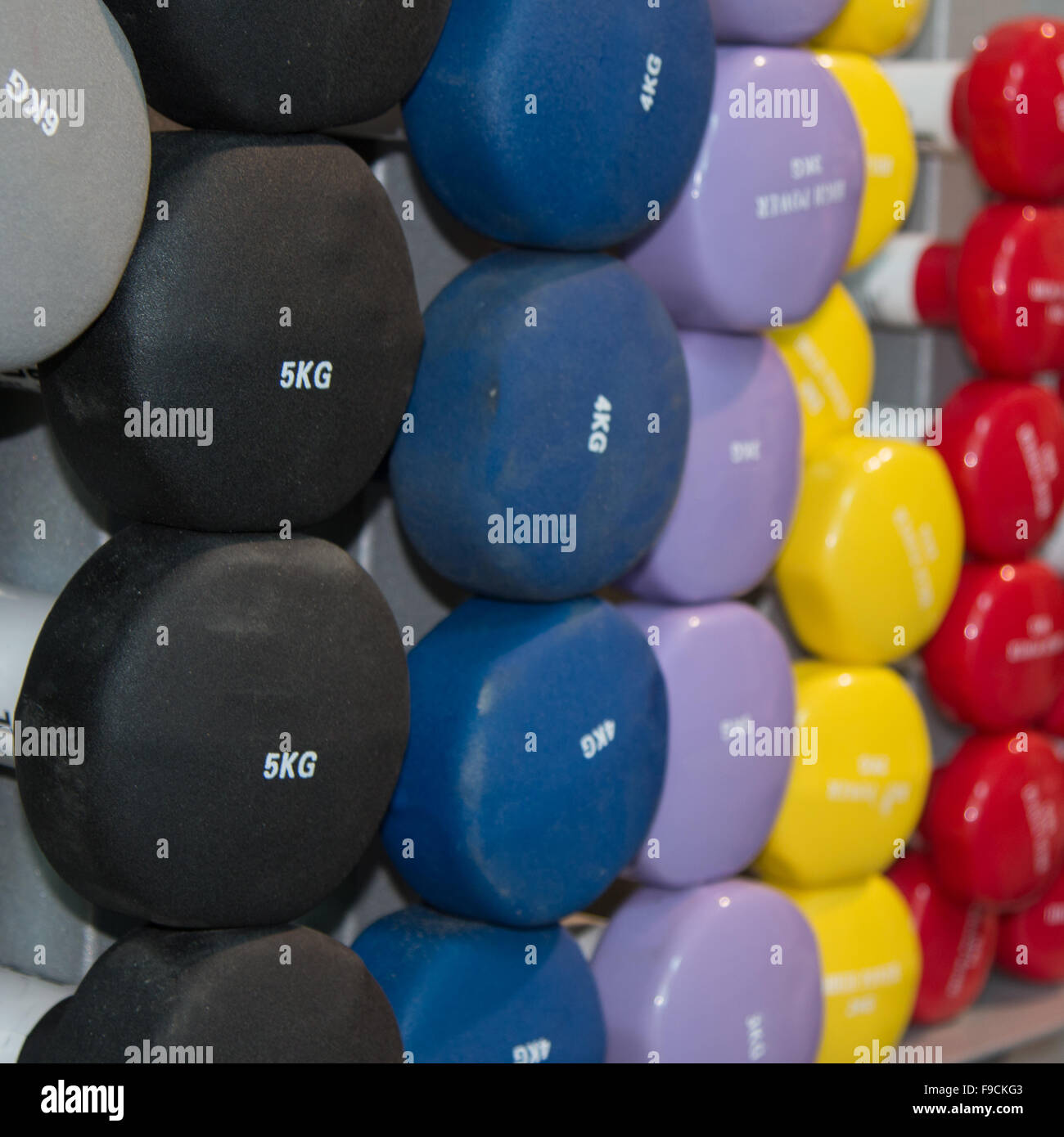 Rubber Colorful Dumbbells in different Sizes, Weight Fitness Equipment ...
