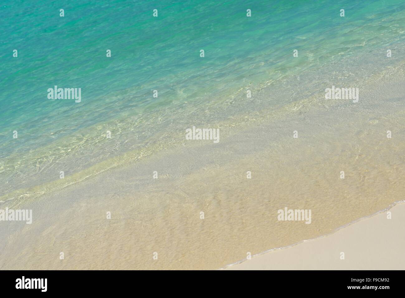 tropical beach nature landscape scene with white sand at summer Stock ...