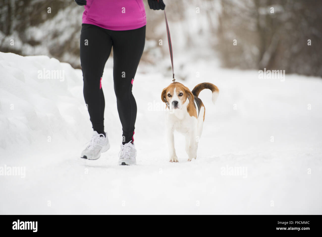Athlete woman is running during winter training outside in cold snow ...