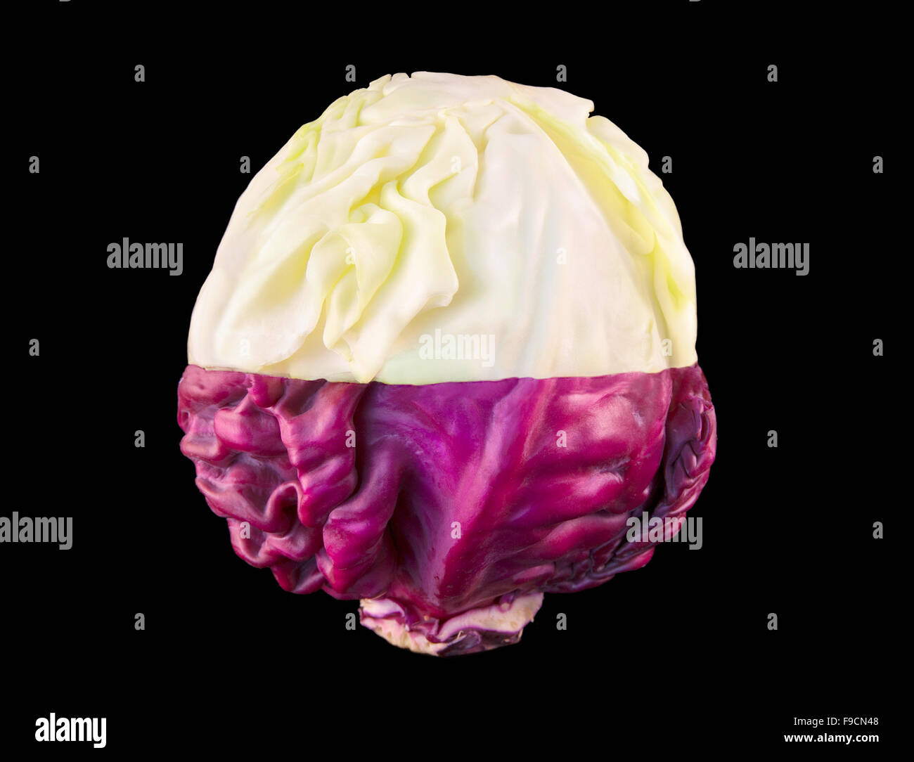 Ball of red and green cabbage on the black background Stock Photo - Alamy