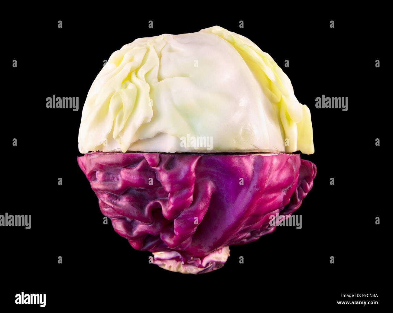 Ball of red and green cabbage on the black background Stock Photo - Alamy