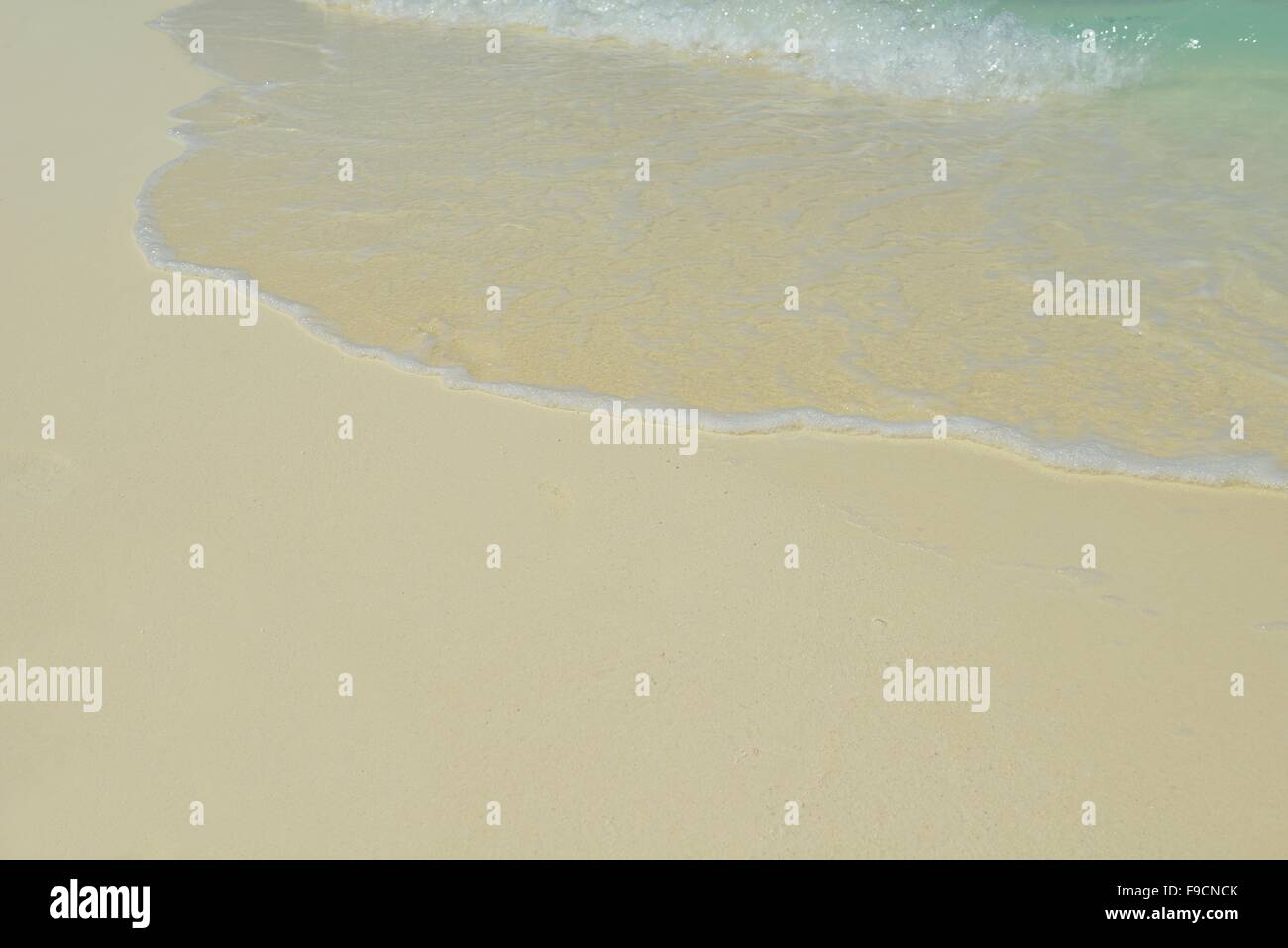 tropical beach nature landscape scene with white sand at summer Stock ...