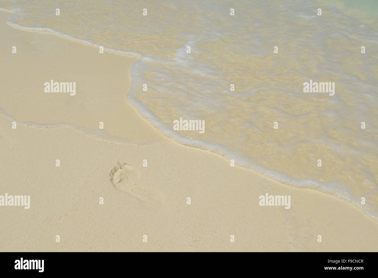tropical beach nature landscape scene with white sand at summer Stock ...