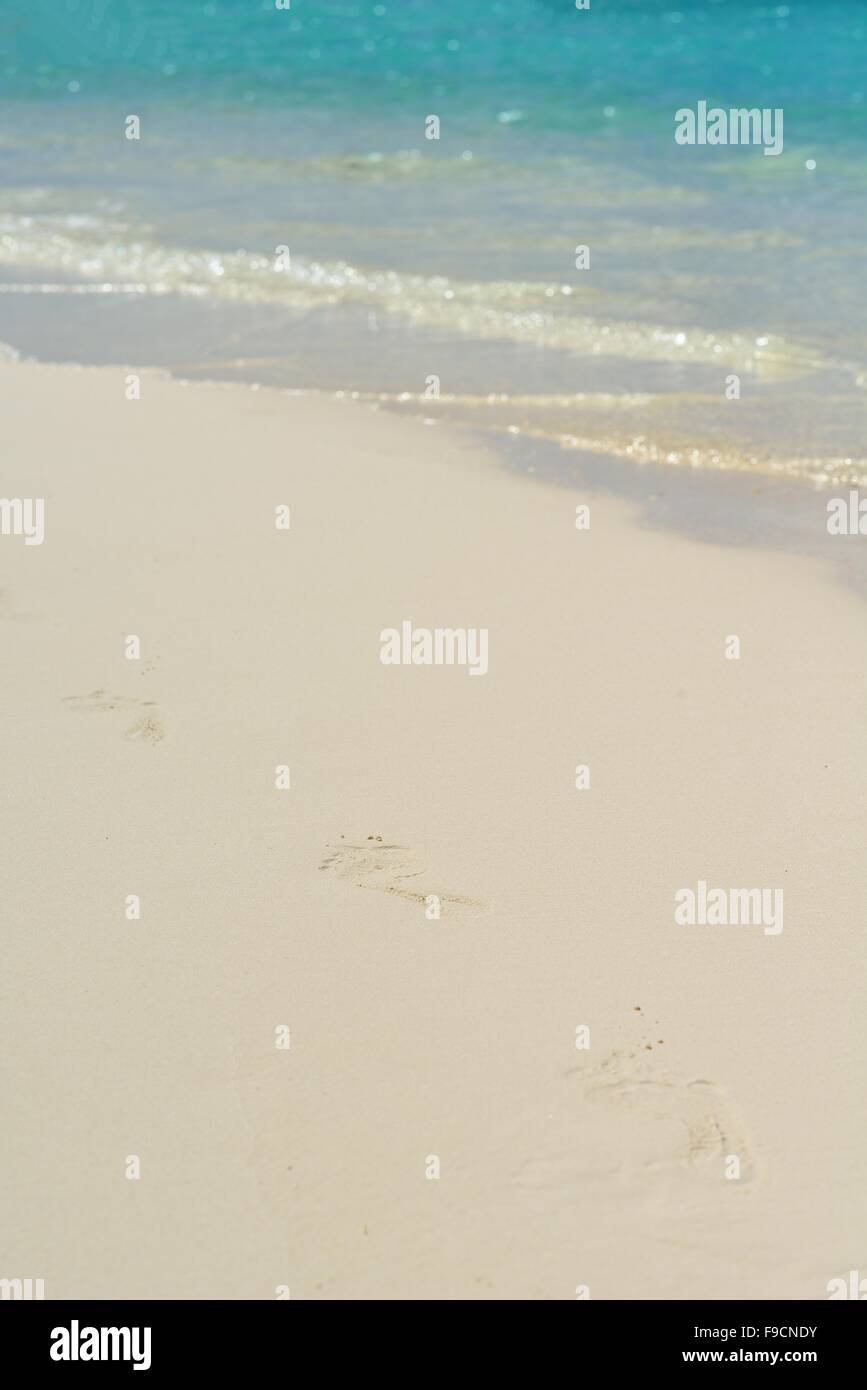 tropical beach nature landscape scene with white sand at summer Stock ...