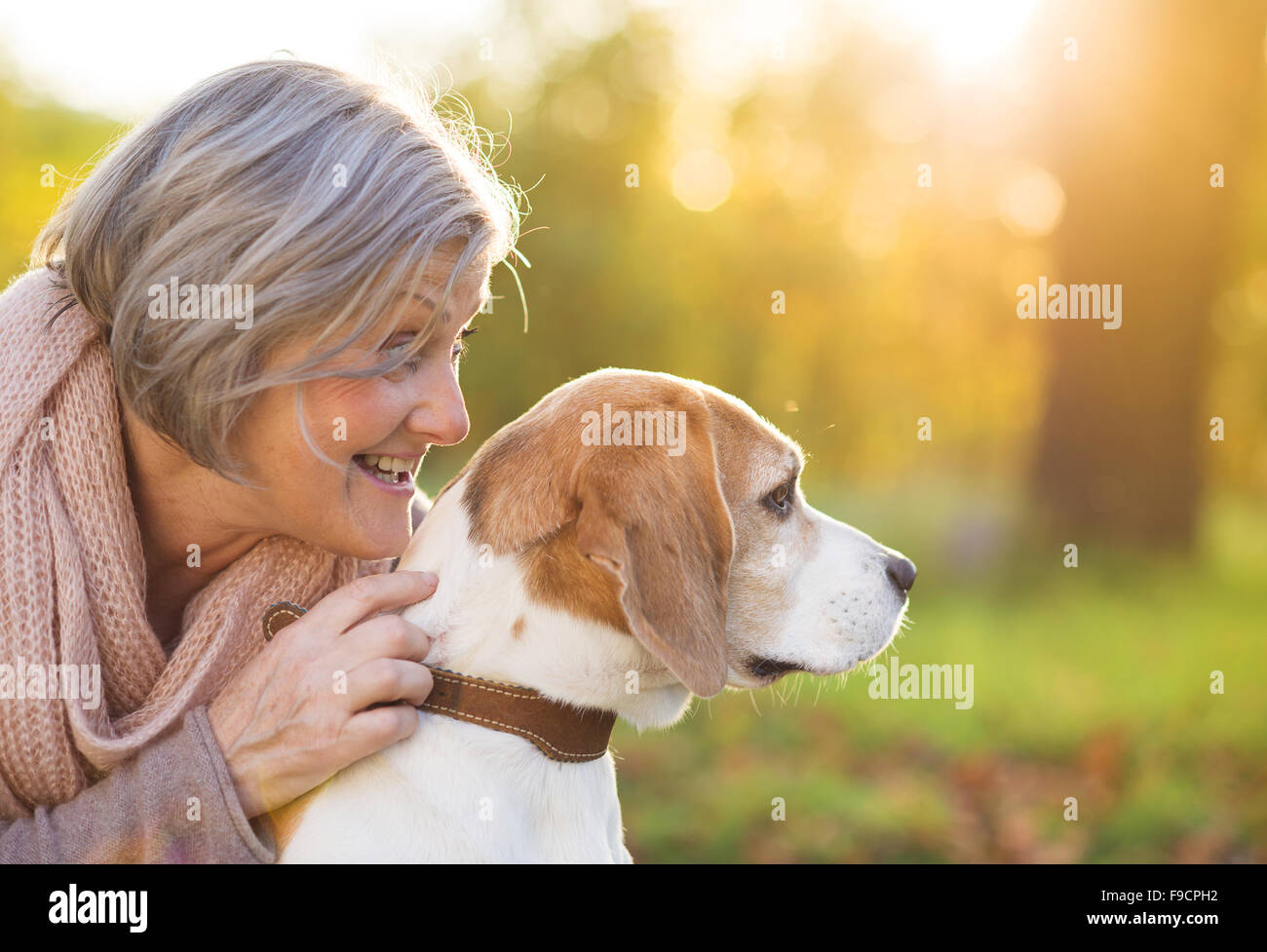 Senior woman hugs her beagle dog in countryside Stock Photo - Alamy