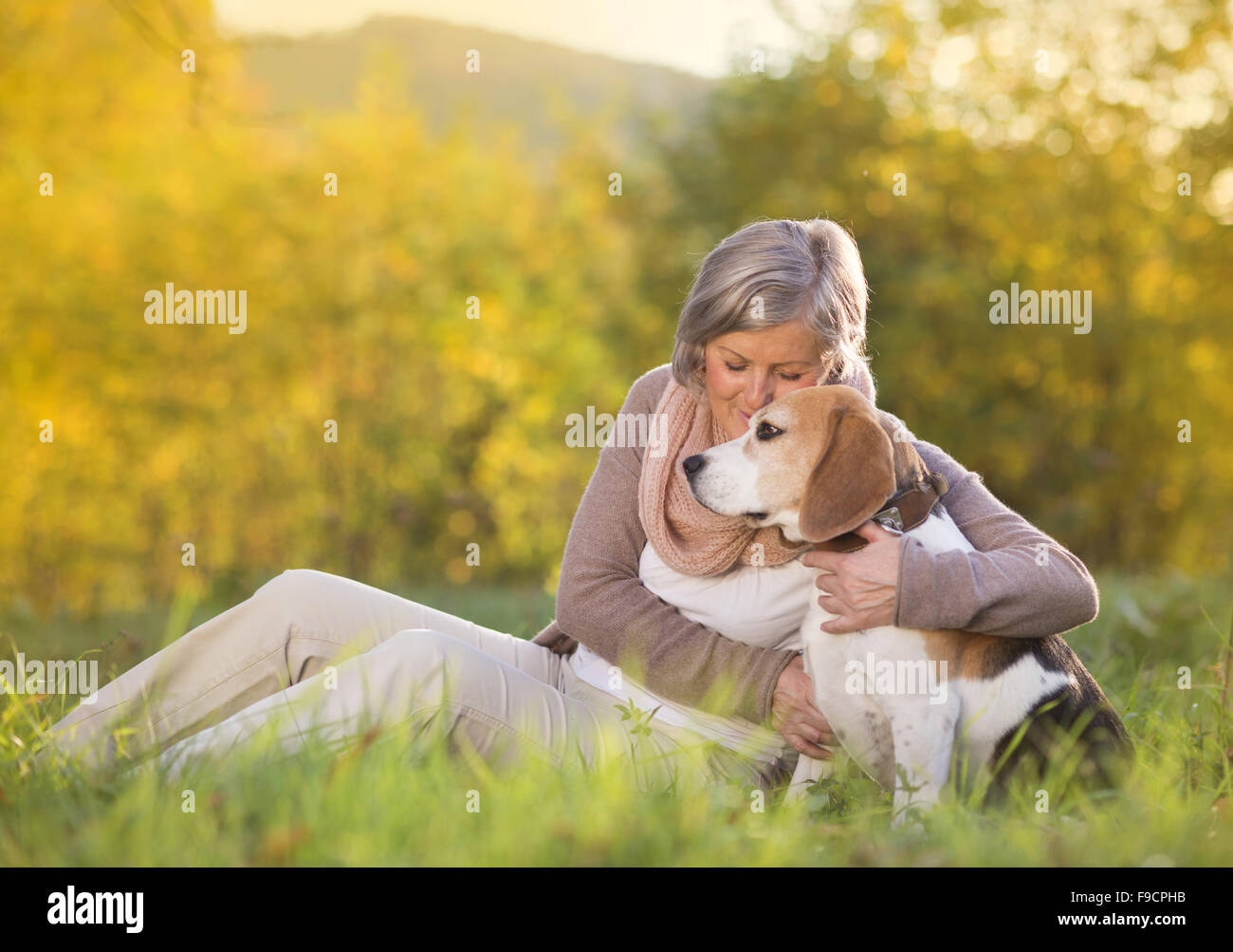 Senior woman hugs her beagle dog in countryside Stock Photo - Alamy