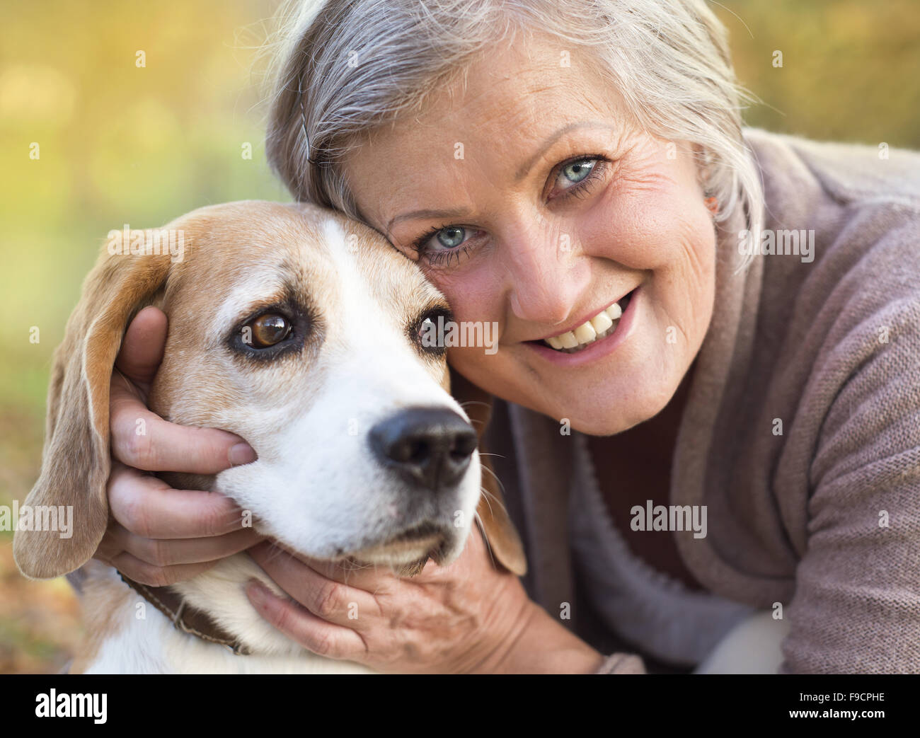 Senior woman hugs her beagle dog in countryside Stock Photo - Alamy