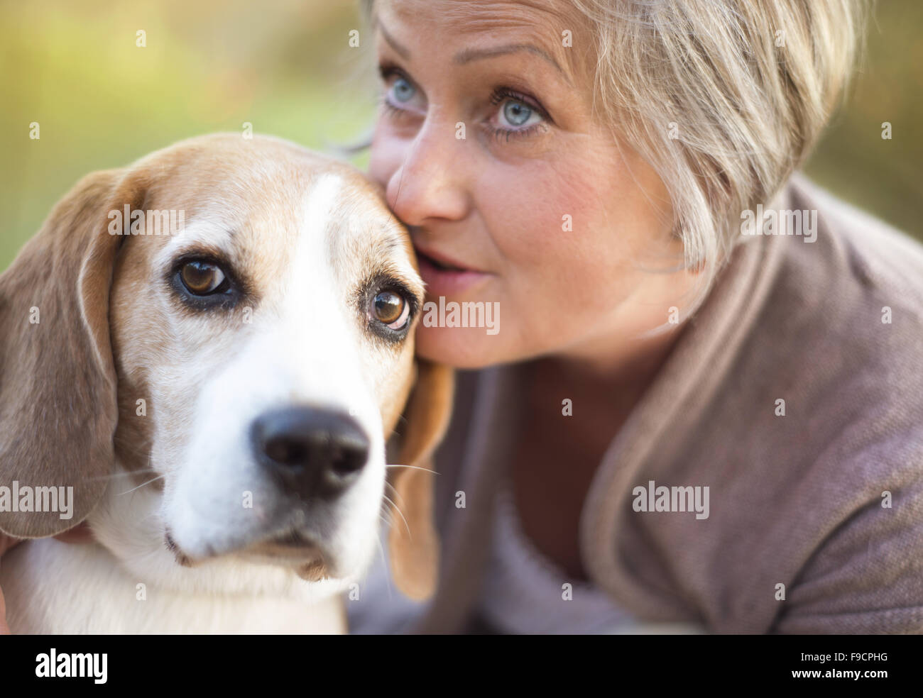 Senior woman hugs her beagle dog in countryside Stock Photo - Alamy