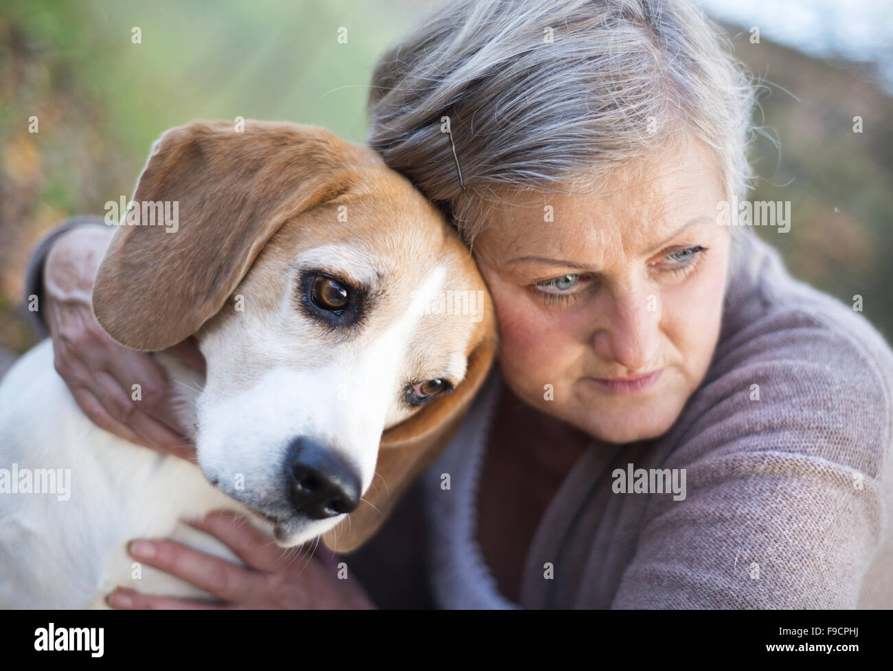 Senior woman hugs her beagle dog in countryside Stock Photo - Alamy