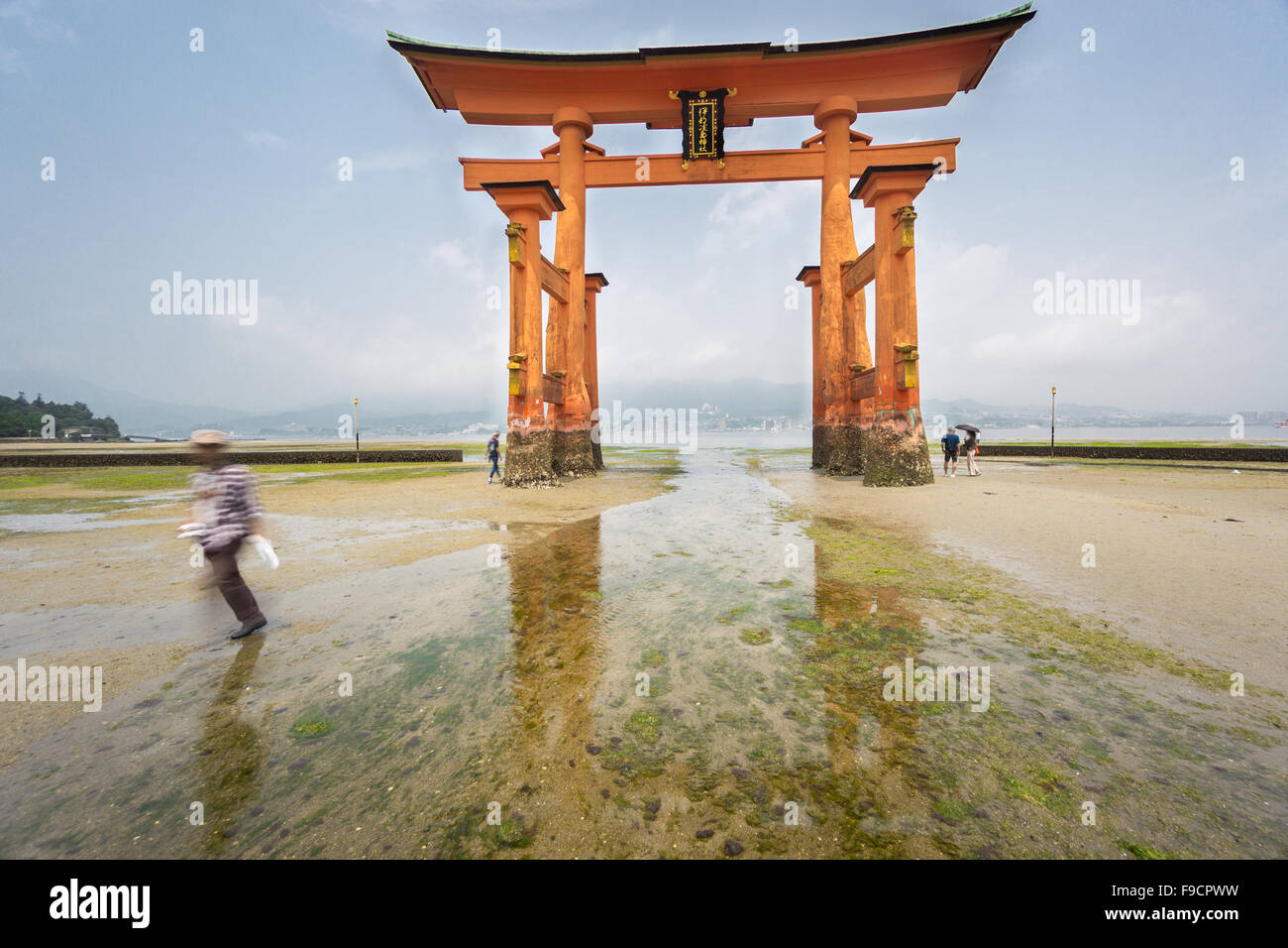 Long exposure with tourist, Floating Torii gate, low tide, Japan Stock ...