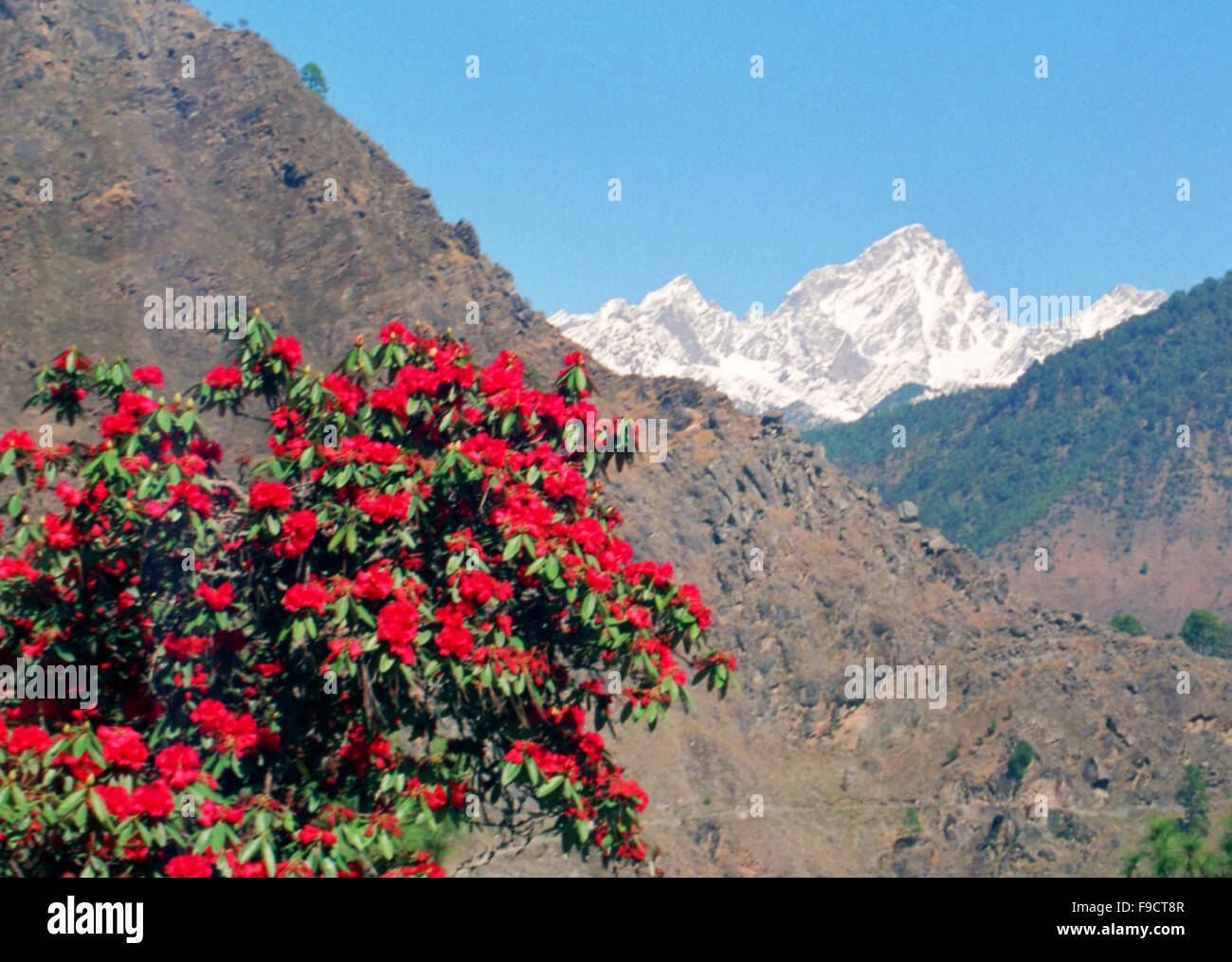 India rocks red hi-res stock photography and images - Alamy