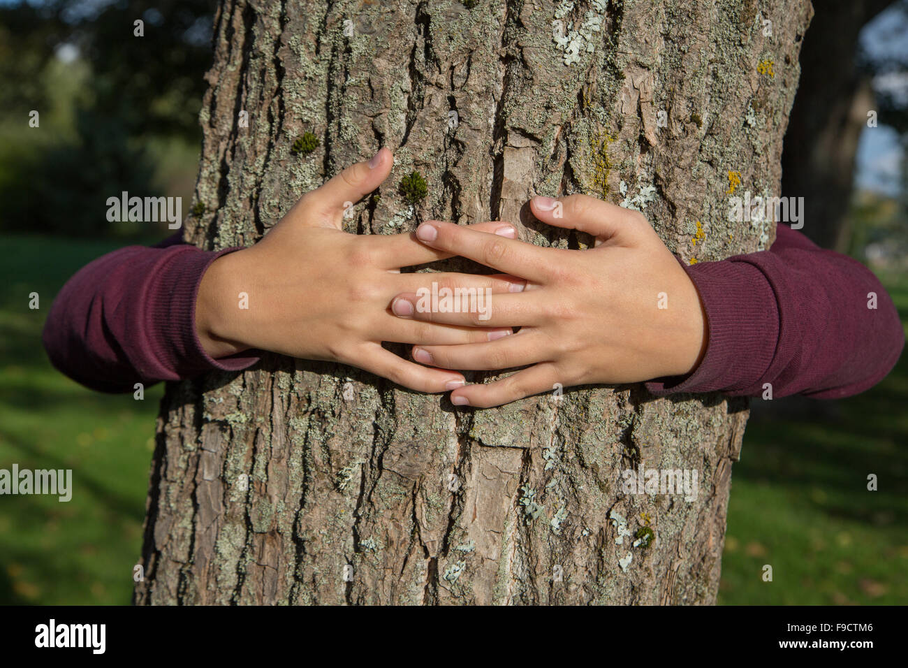 Young girl hugging a tree Stock Photo - Alamy
