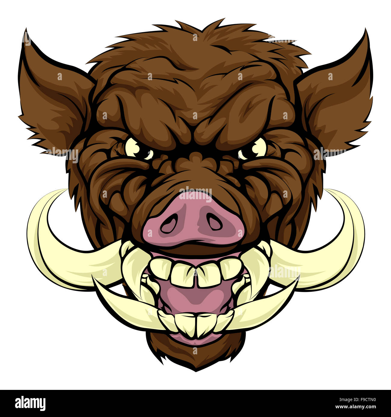 Angry razorback wild pig hog hi-res stock photography and images - Alamy