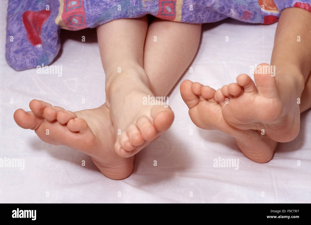 Four toes hi-res stock photography and images - Alamy
