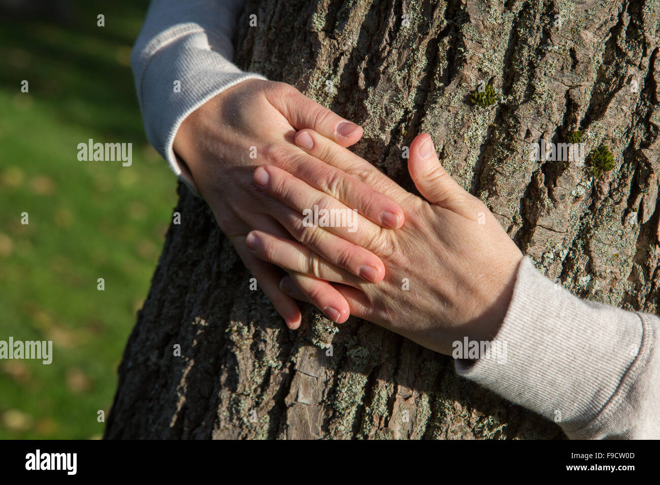 Woman hugging a tree Stock Photo - Alamy