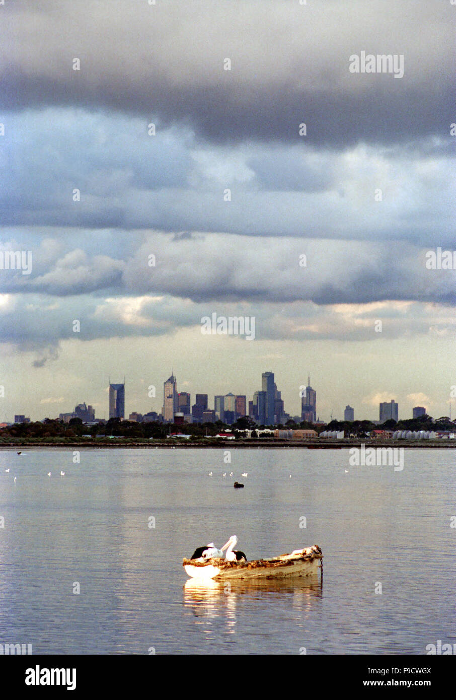 Birds of melbourne hi-res stock photography and images - Alamy