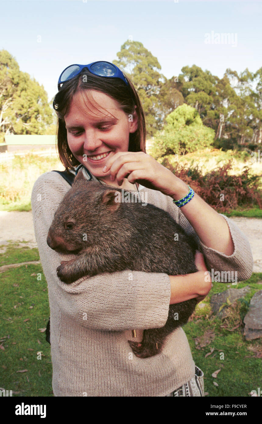 Tasmania - Woman with Wombat Stock Photo - Alamy