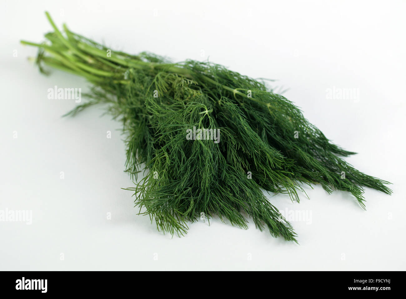 Bunch dill herb isolated on white background Stock Photo - Alamy