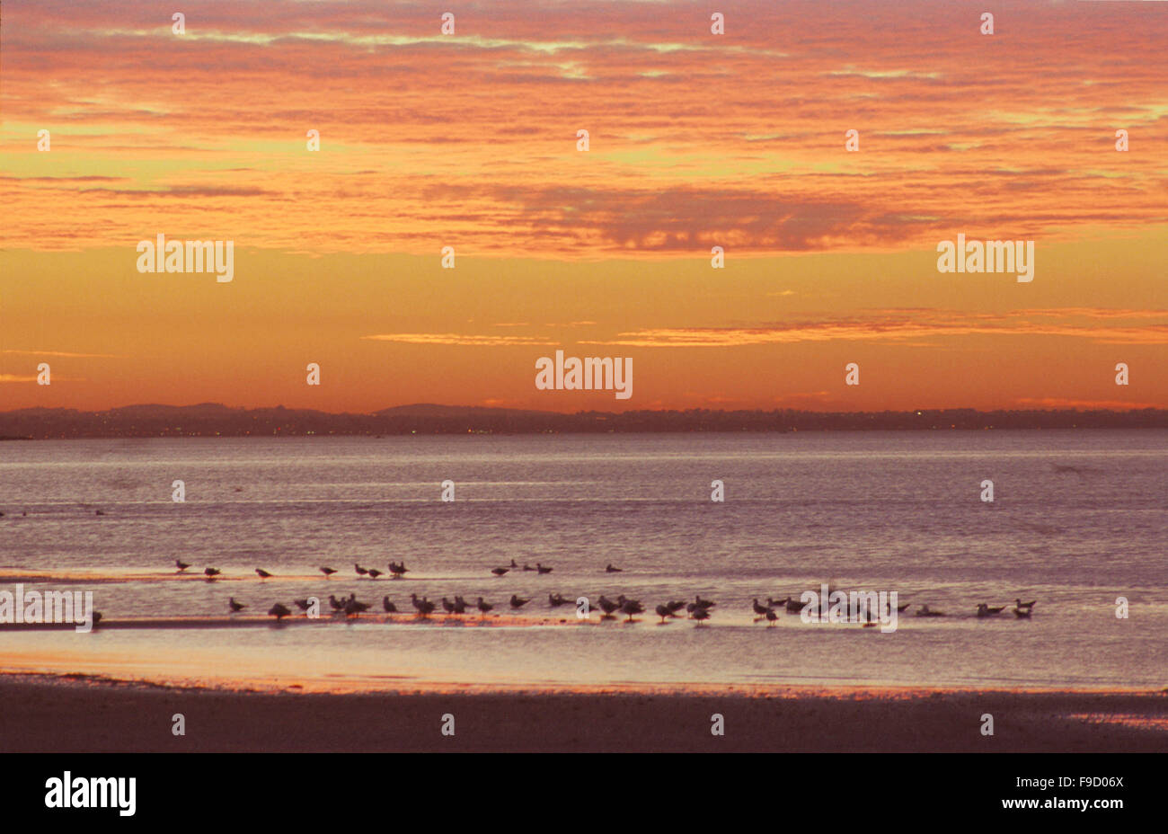 Melbourne bay hi-res stock photography and images - Alamy