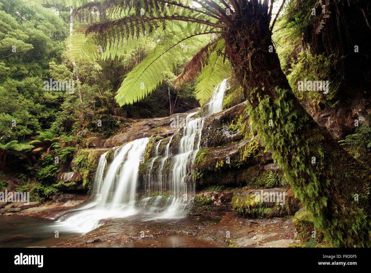 Tasmanian waterfalls hi-res stock photography and images - Alamy
