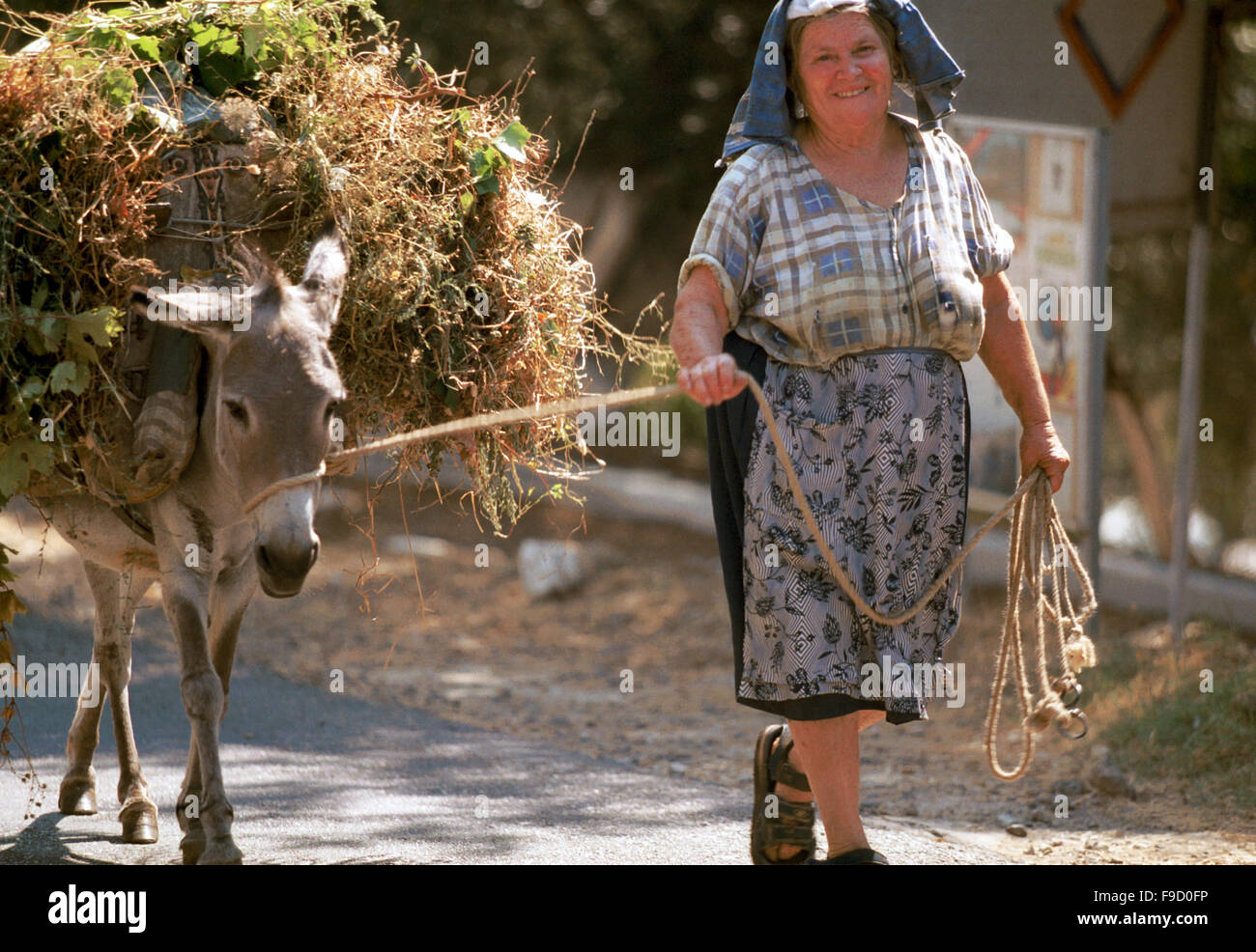 Greece - Native Lady Directing Donkey Stock Photo - Alamy
