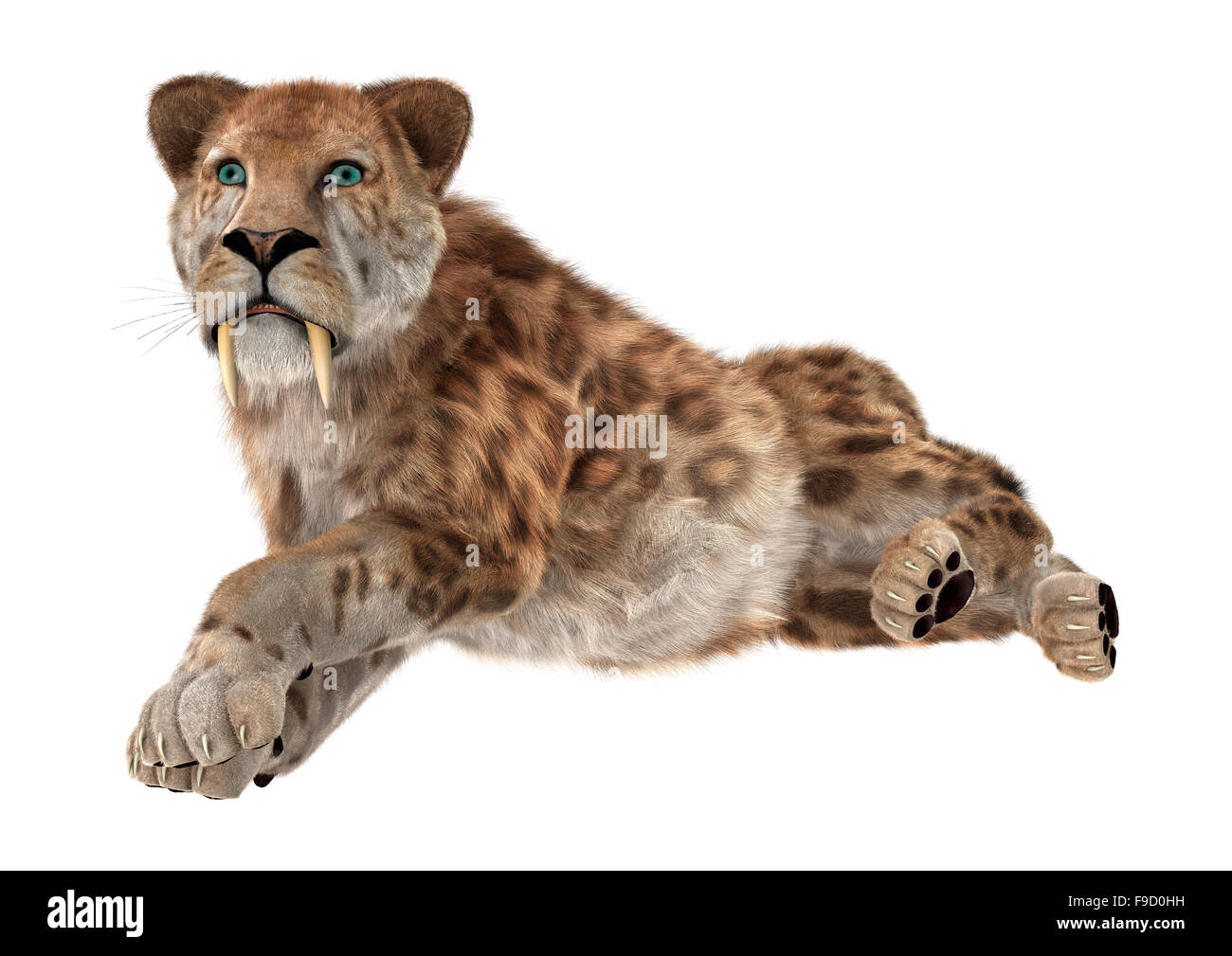 3D digital render of a big cat sabertooth isolated on white background ...