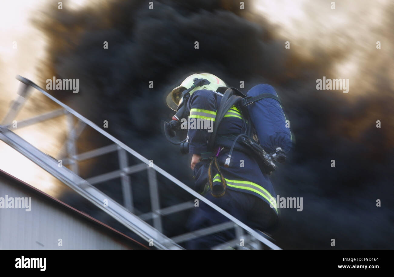 Single ladders hi-res stock photography and images - Alamy
