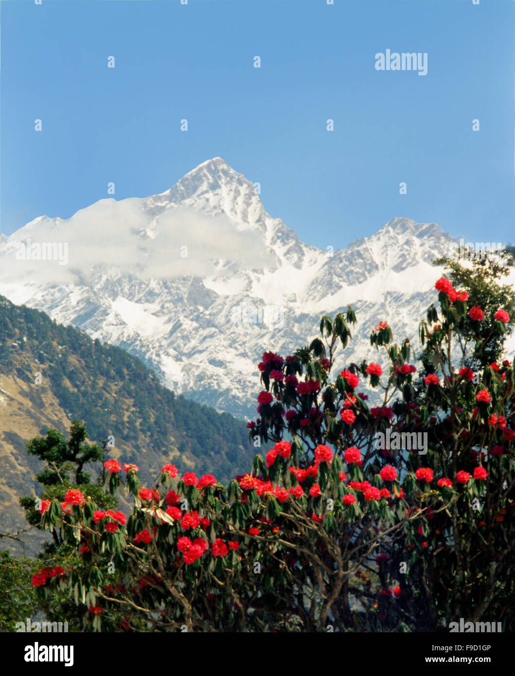 Garhwal hills hi-res stock photography and images - Alamy