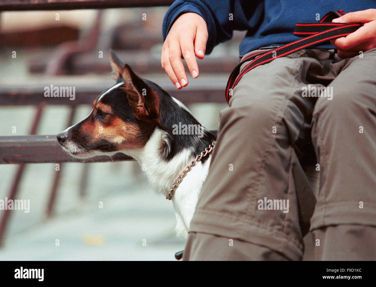 Staunch friends hi-res stock photography and images - Alamy