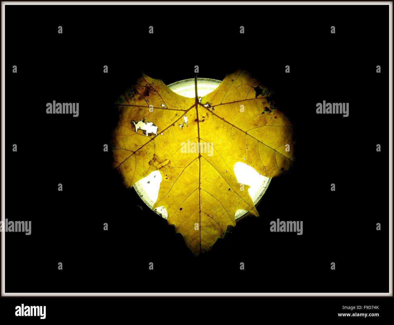 Leaf on the street lamp Stock Photo - Alamy