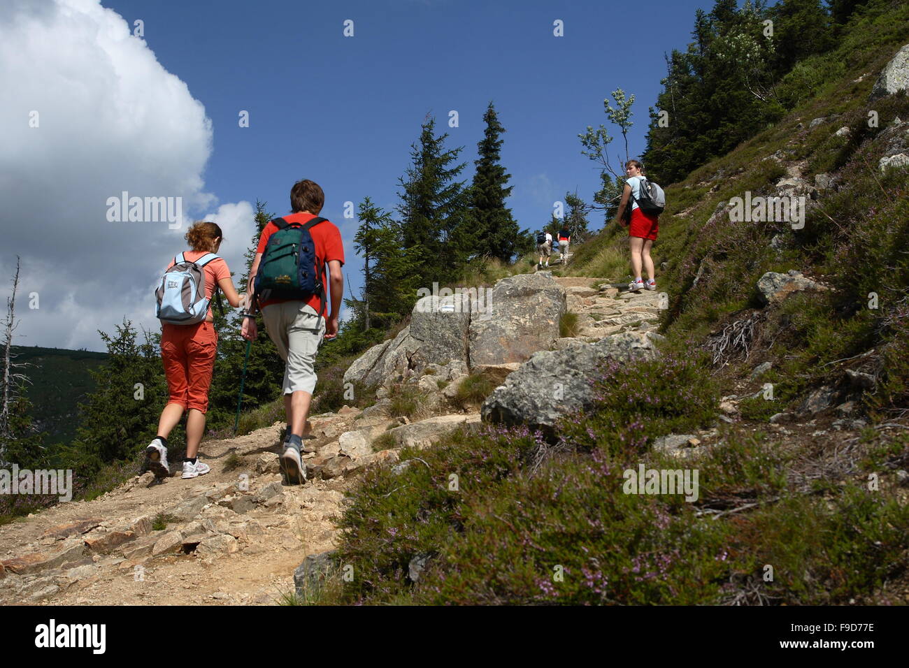 The Giant Mountains, Czech Republic Stock Photo - Alamy
