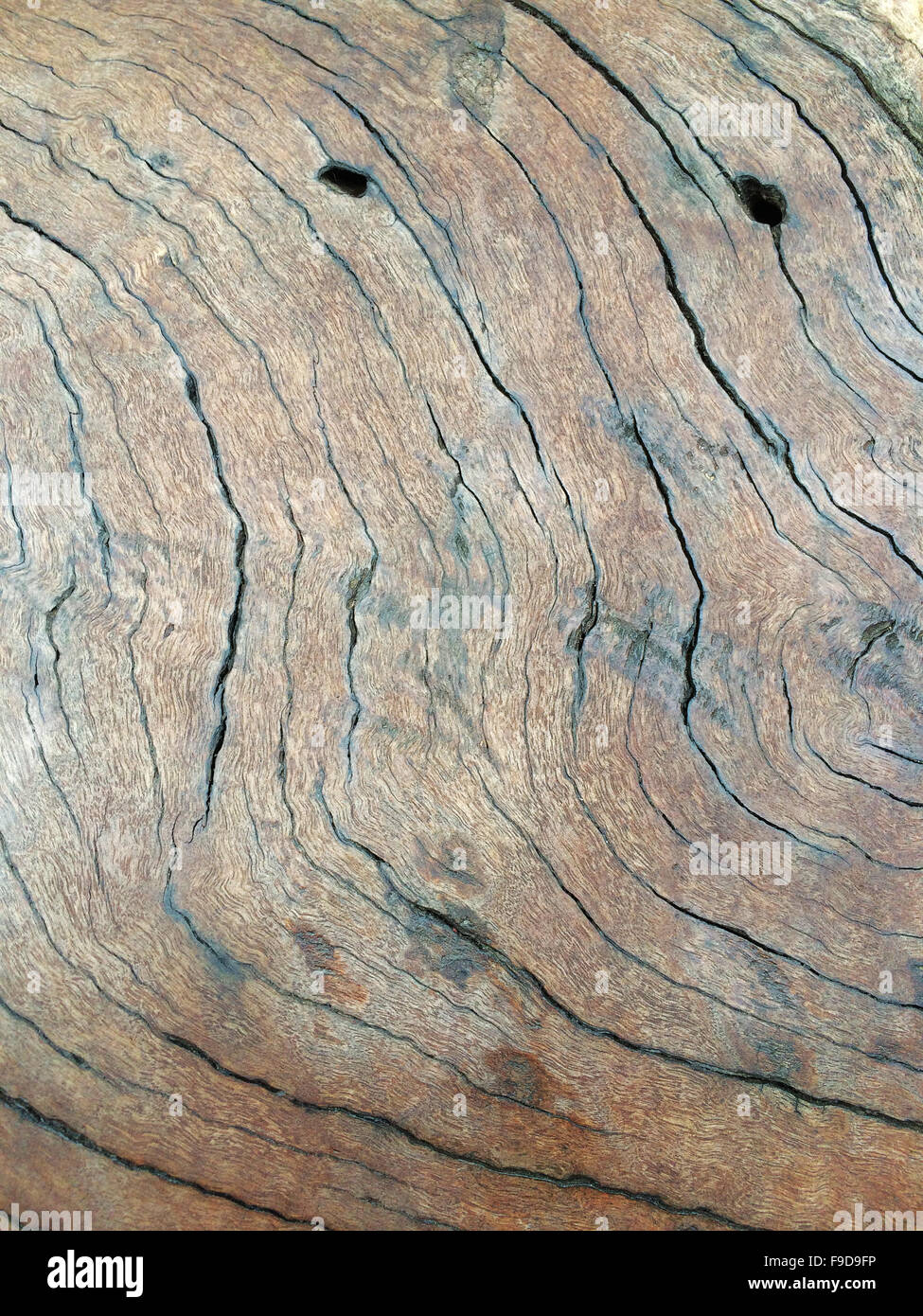 Curved wooden texture hi-res stock photography and images - Alamy