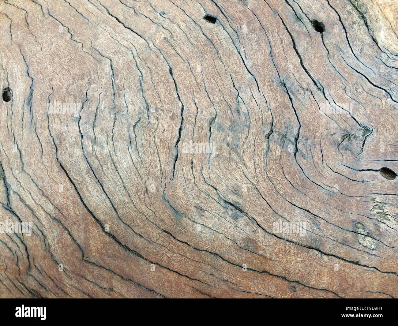 Curved wooden texture hi-res stock photography and images - Alamy