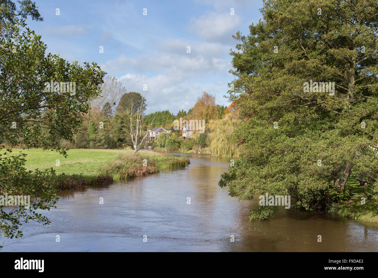 River Teme at Leintwardine, Herefordshire, England, UK Stock Photo - Alamy