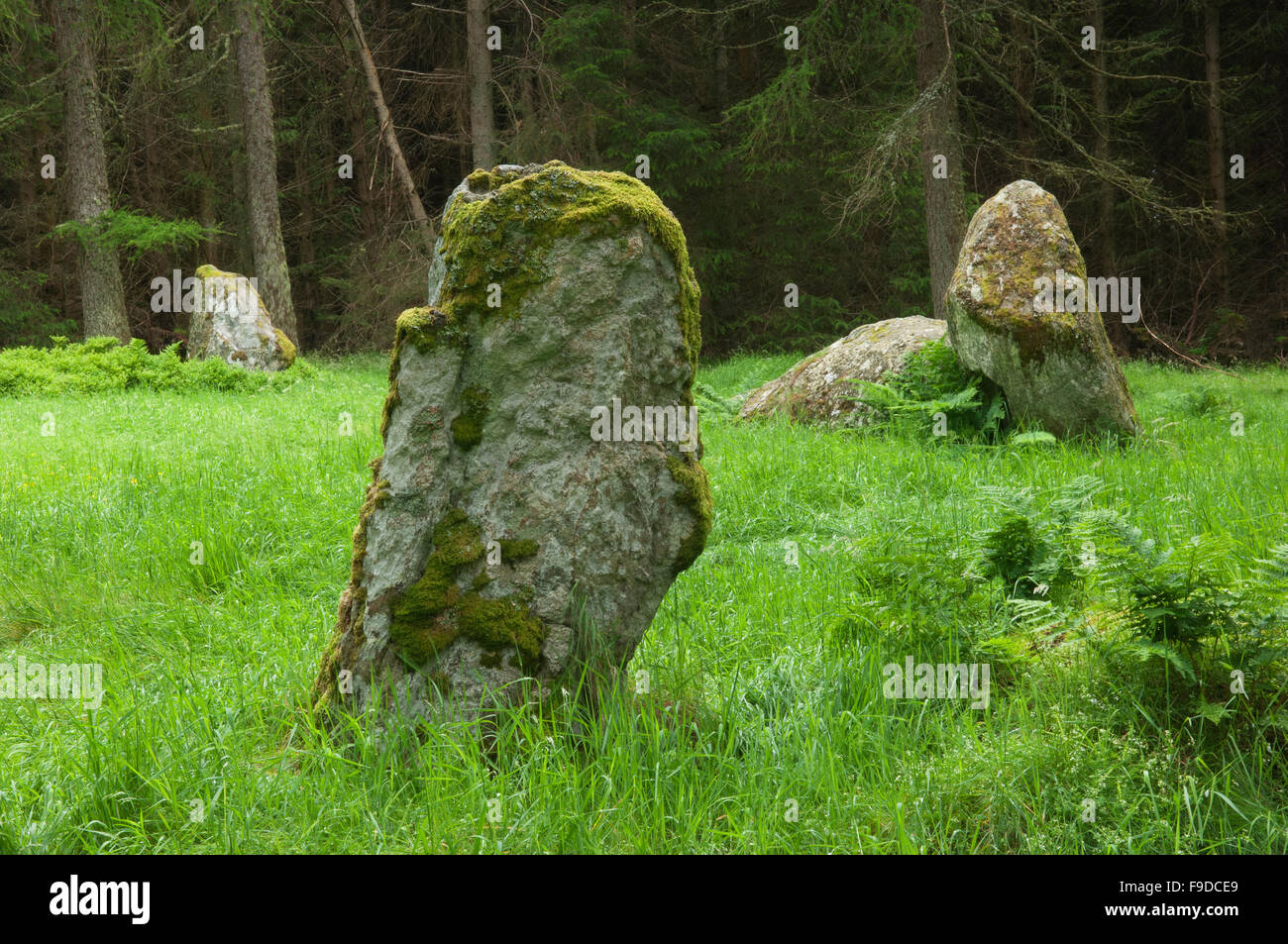Nine Stanes Stone Circle - near Banchory, Aberdeenshire, Scotland Stock ...