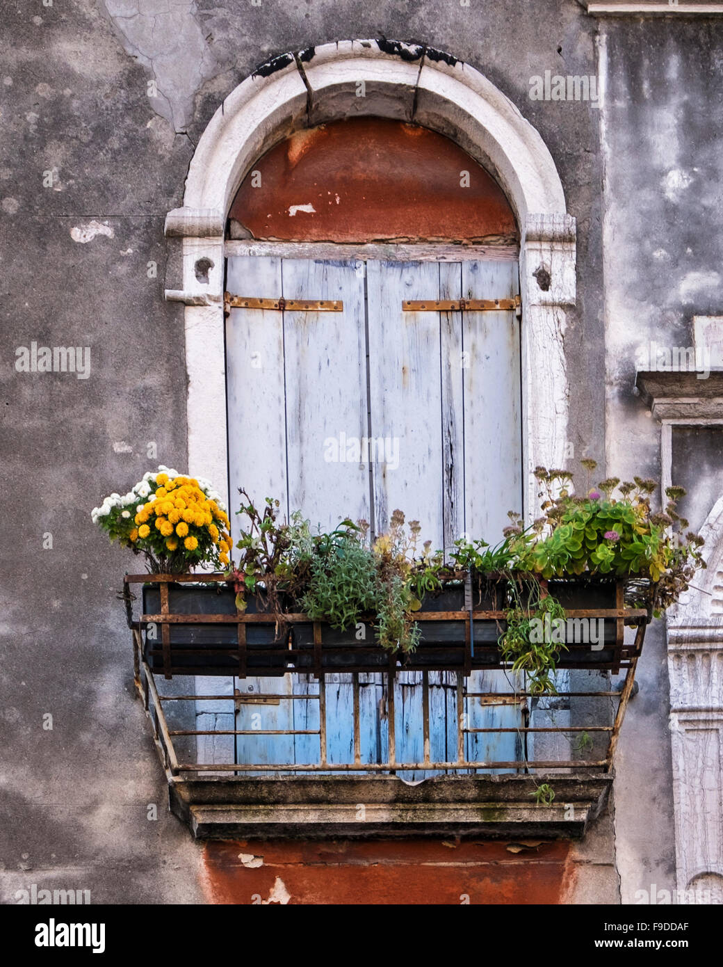 Venice, House, exterior detail, Shuttered arched door with window box ...