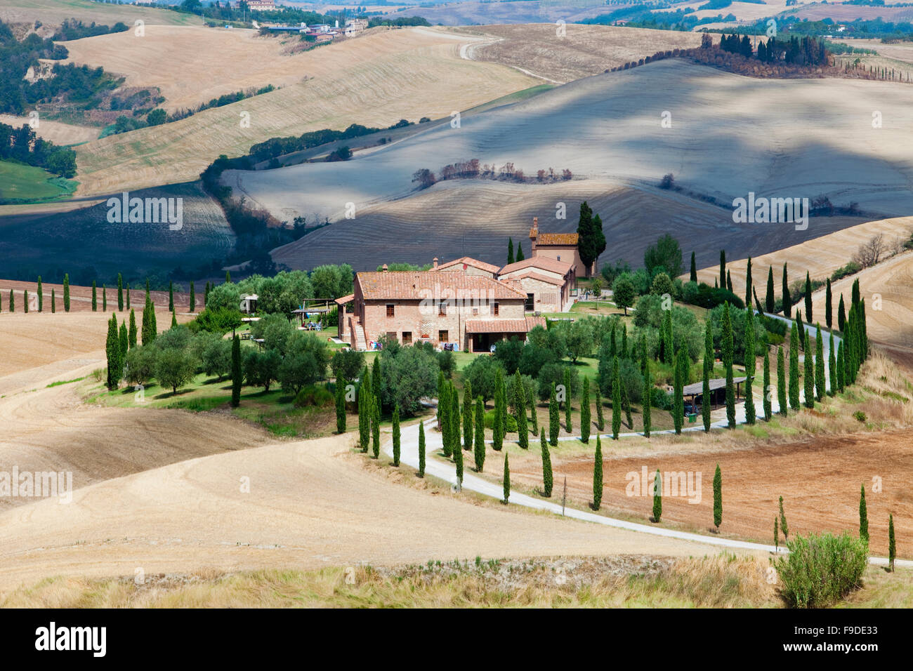 Italy Tuscany Le Crete - Farmhouse and Cypress Trees Stock Photo - Alamy
