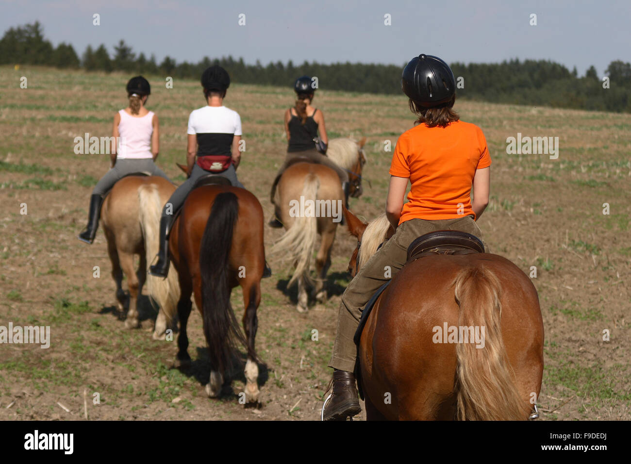 Happy horse riders hi-res stock photography and images - Alamy