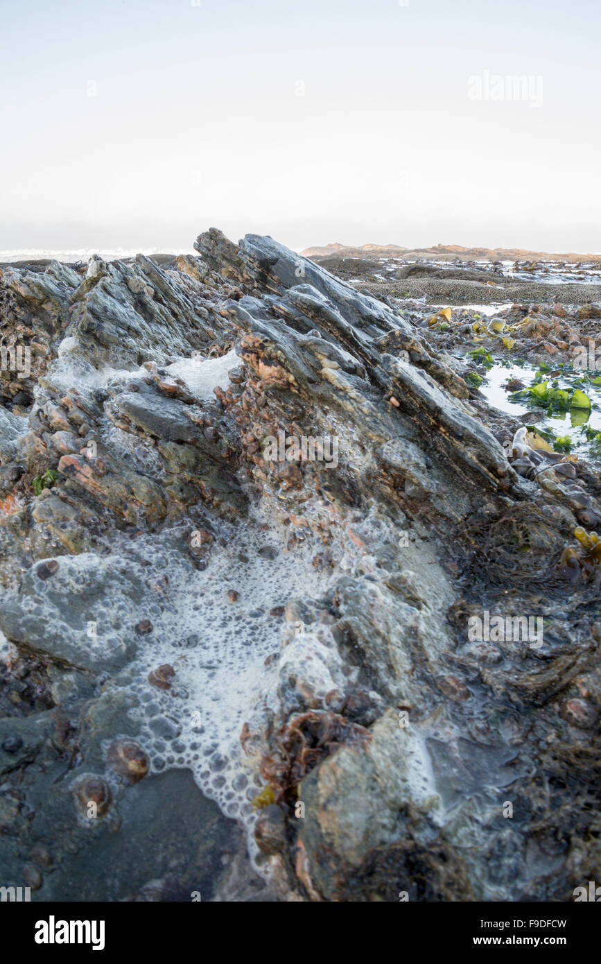Foam rocks hi-res stock photography and images - Alamy