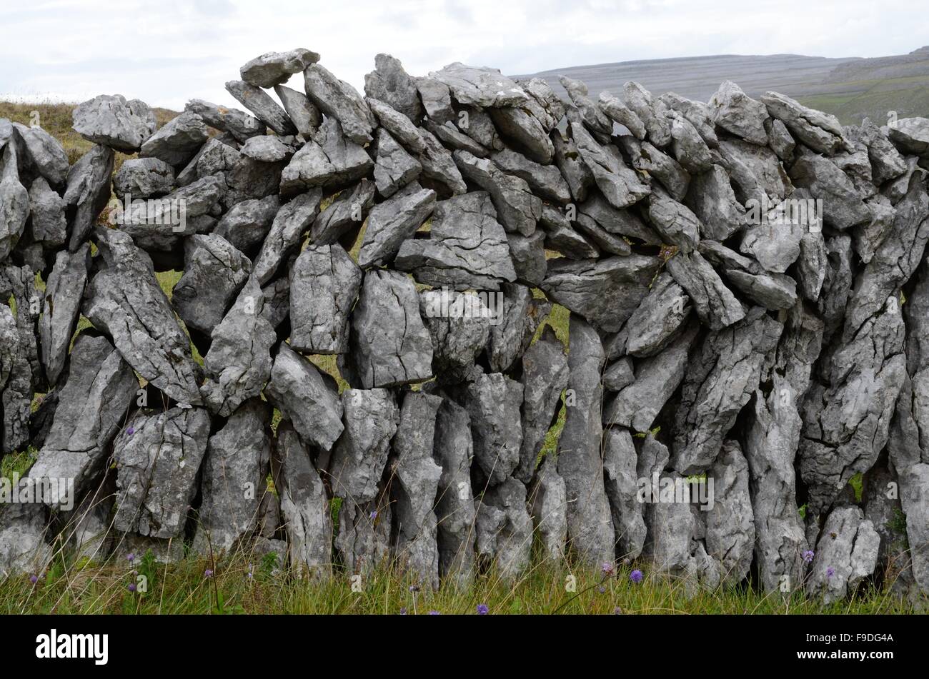 Example of traditional limestone dry stone wall Caher Valley Burren ...