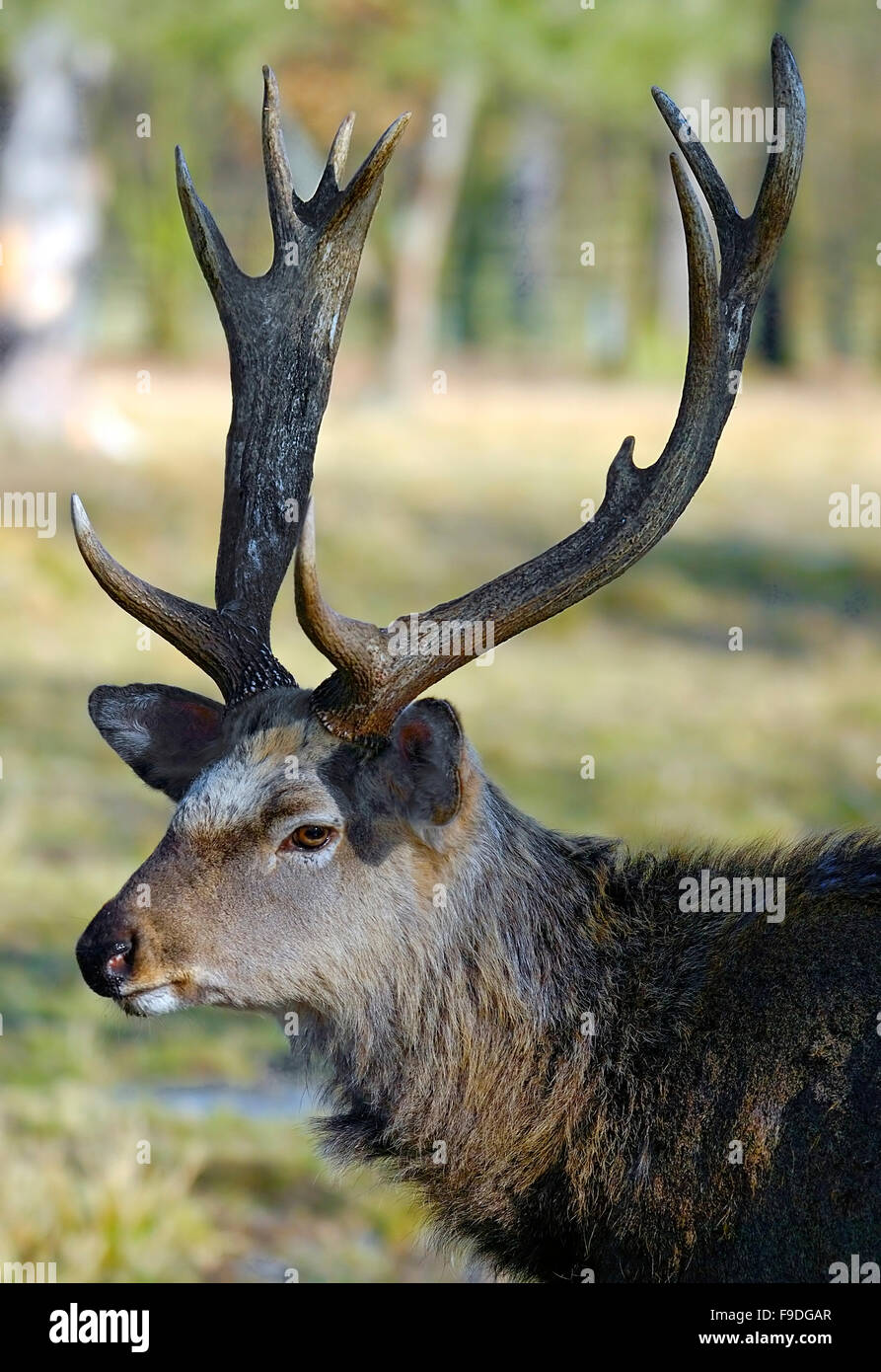 Stand in fallow field hi-res stock photography and images - Alamy