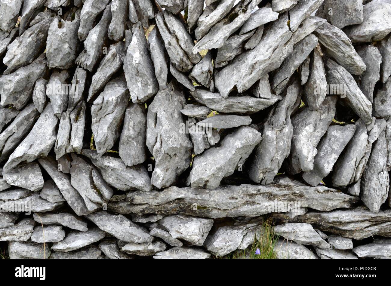 Example of traditional limestone dry stone wall Caher Valley Burren ...