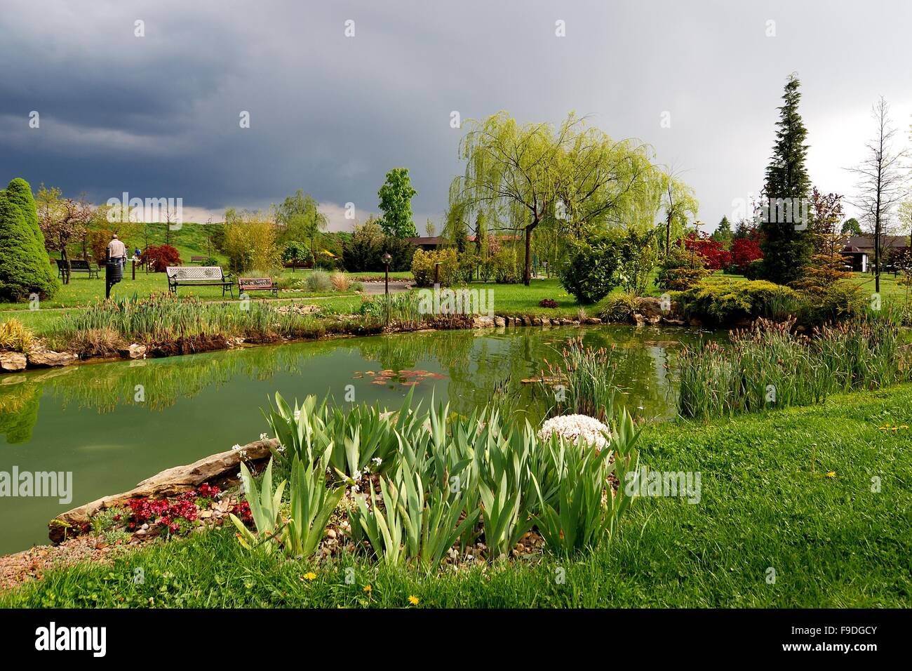 Pond in Park Stock Photo - Alamy